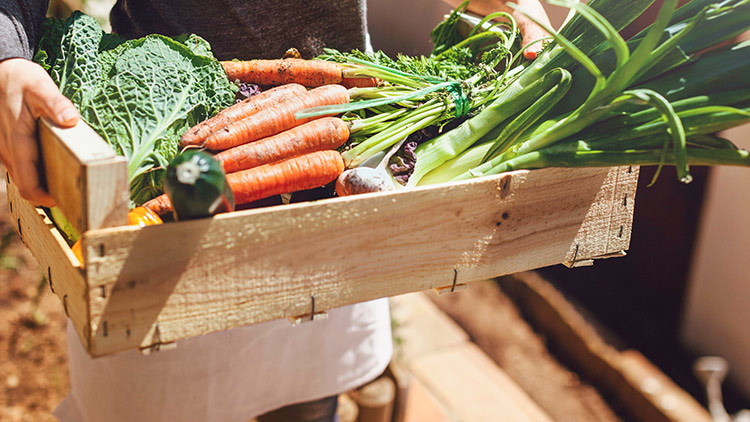 Unser GLOBUS für Dudweiler ☀ Alles auf einen Blick