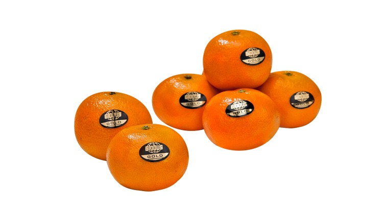 Eigenmarke Globus Gold ☀ Übersicht ⇒ Spitzenqualität für Genießer